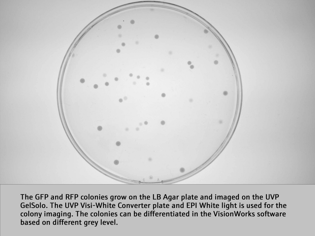 BioImaging Selection - uvp.com