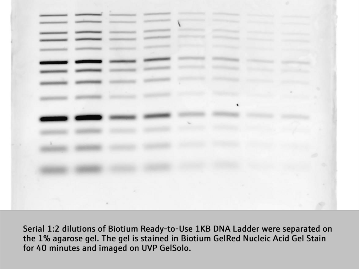 BioImaging Selection - uvp.com