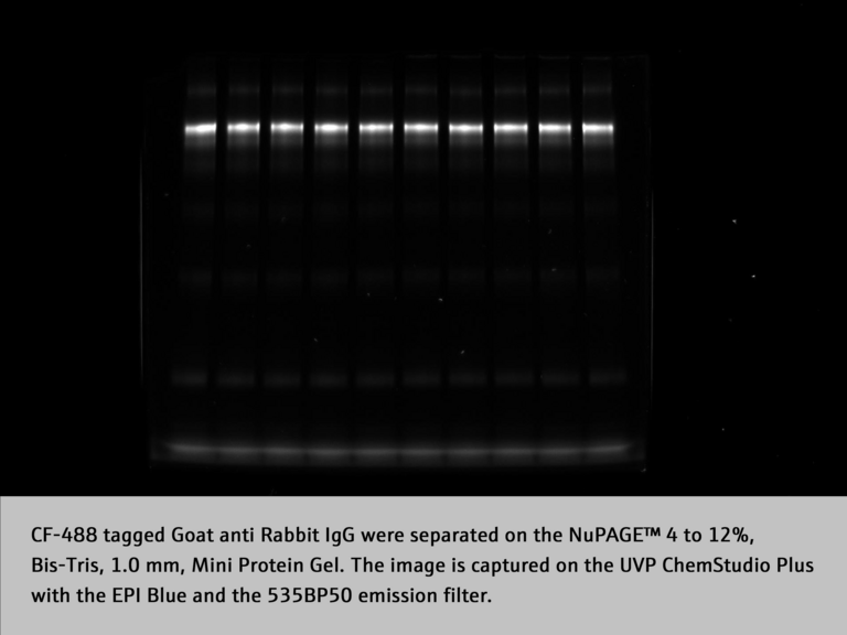 BioImaging Selection - uvp.com