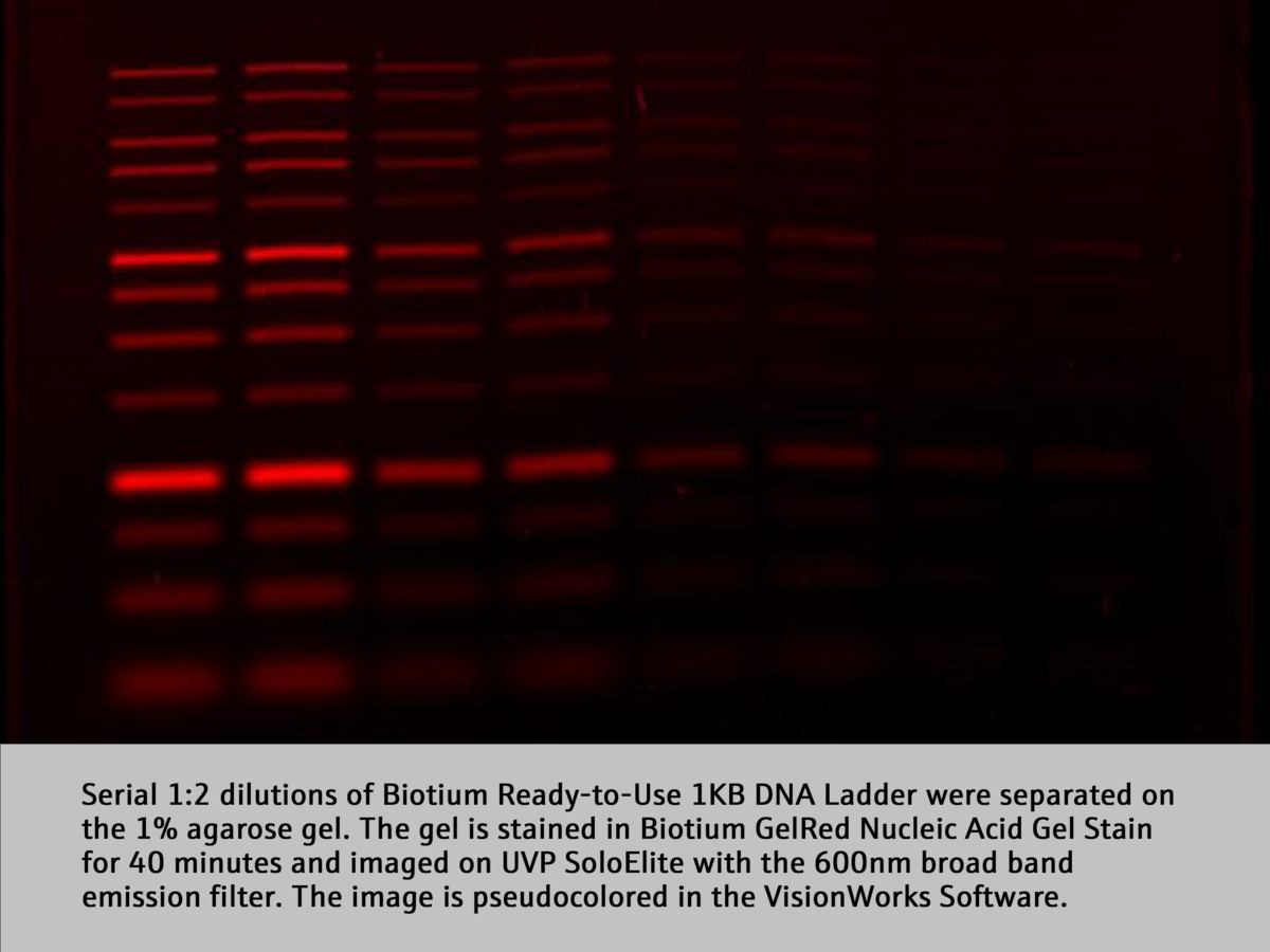 BioImaging Selection - uvp.com